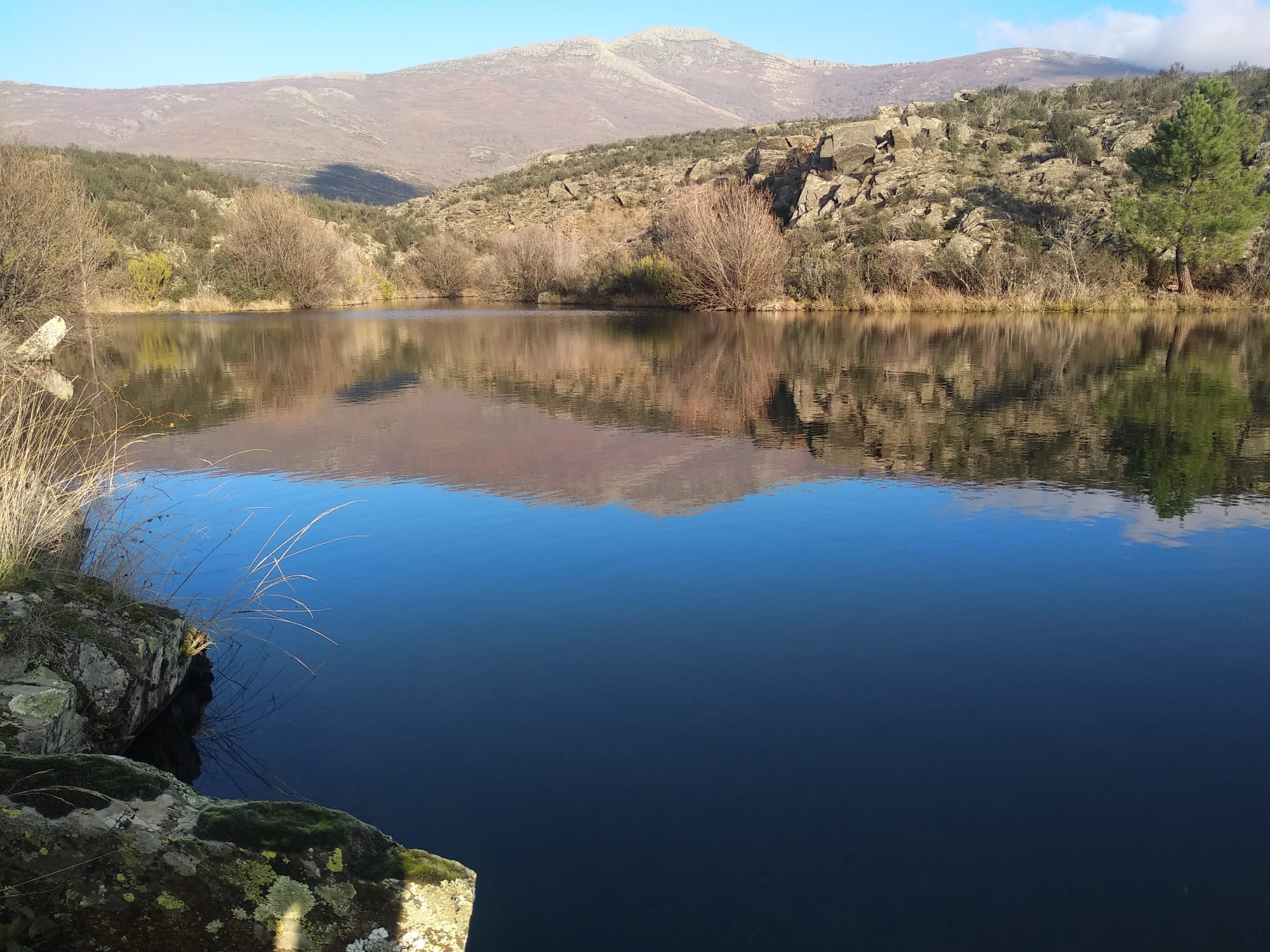 LA PAZ Y LA CONCORDIA HUMANAS. HISPANISMO Y COSMOPOLITISMO - Human Unity